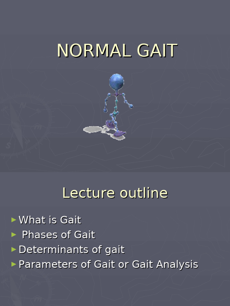 Gait Biomechanics | PDF