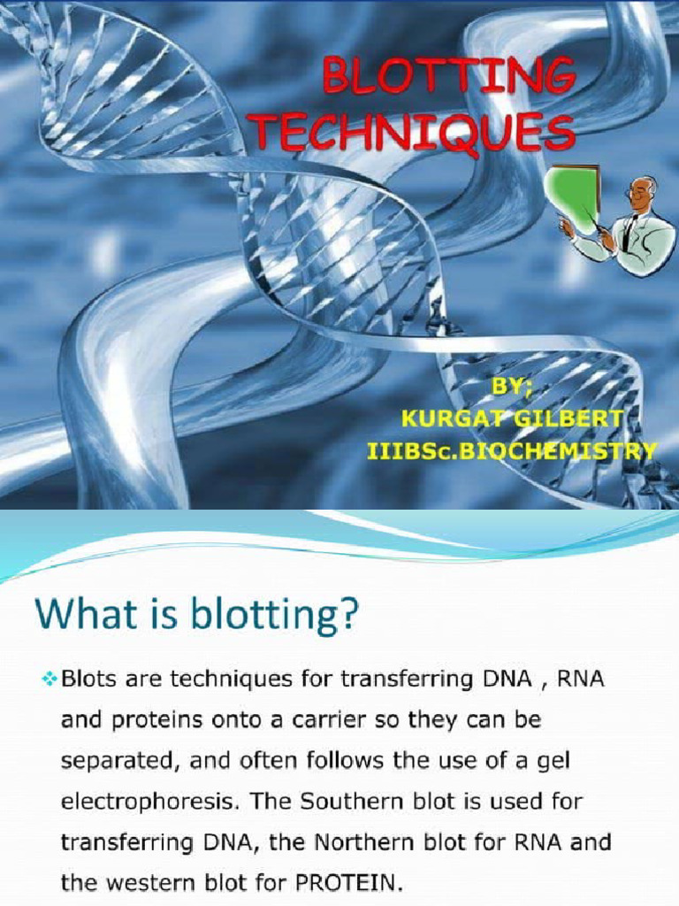 Blotting Technique | PDF