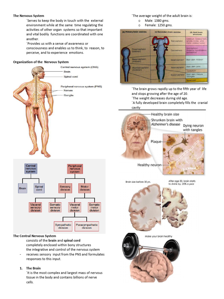 M1 Lab | PDF