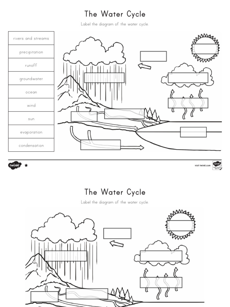 Us SC 312 The Water Cycle Differentiated Activity Sheets - Ver - 2 | PDF