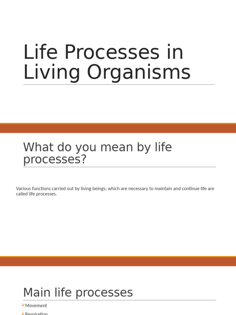 Life Processes in Living Organisms | PDF
