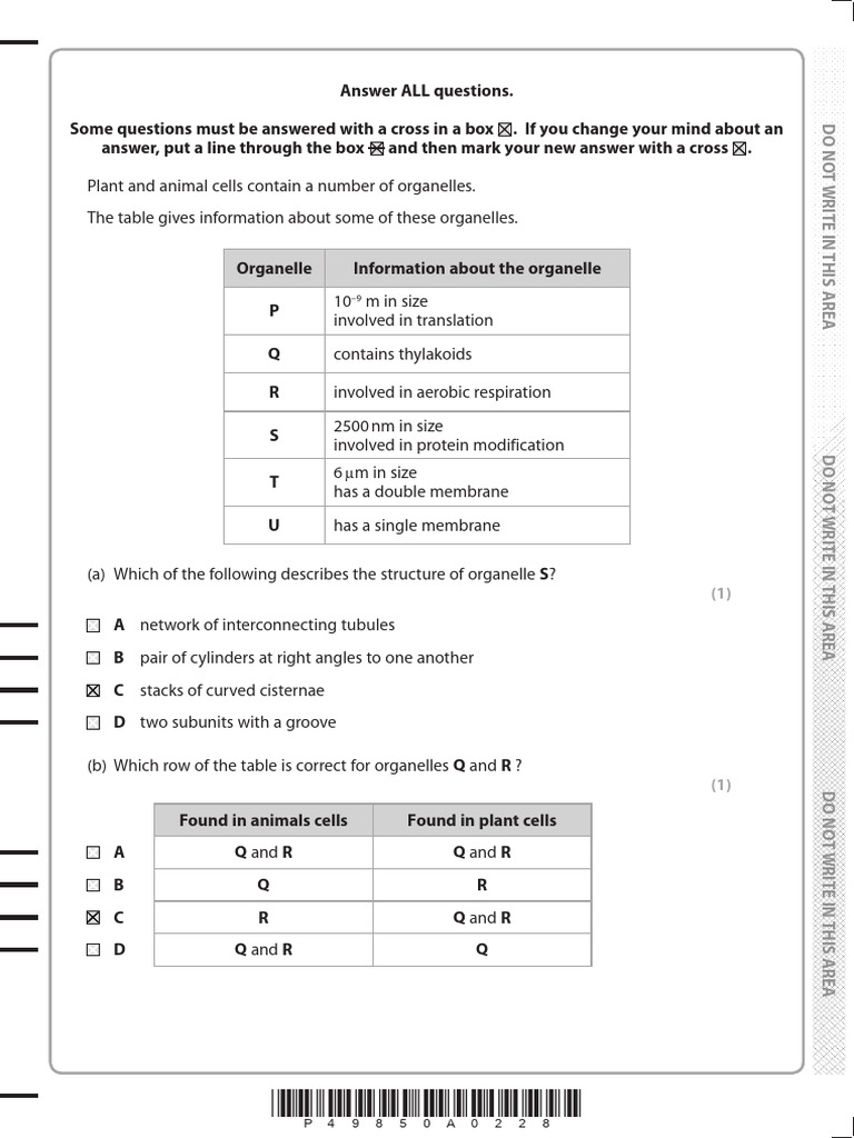 U4 Final Mock | PDF