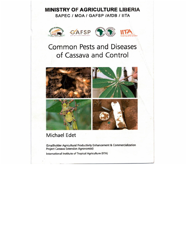 Common Pests and Diseases of Cassava and Control | PDF