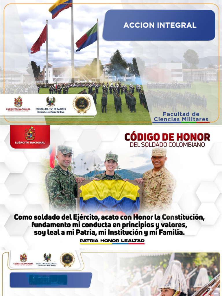 Presentacion Accion Integral (Variables Operacionales) | PDF