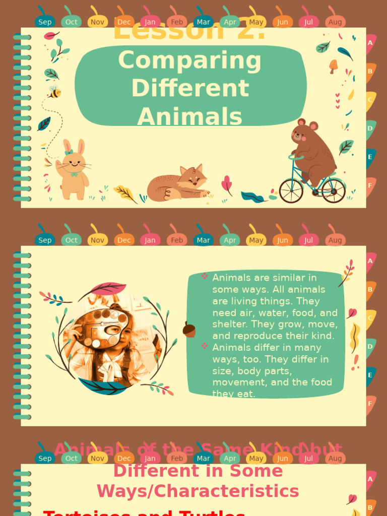 Science 2ndQ Lesson 2 - Comparing Different Animals | PDF