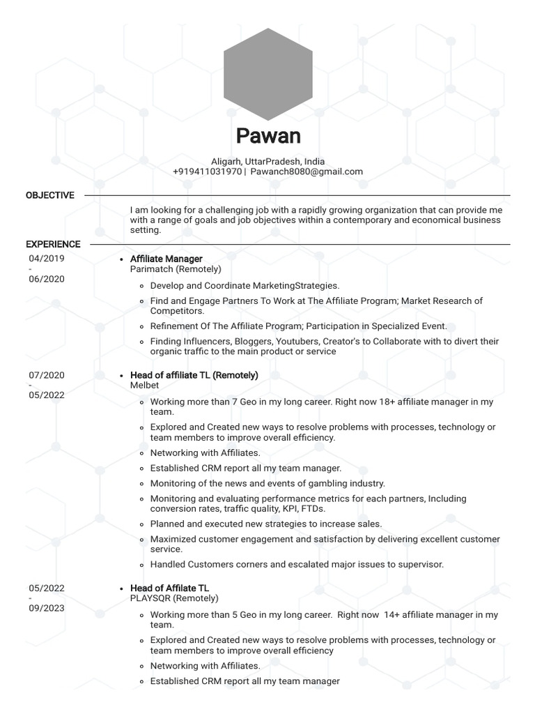 Pawan new Cv | PDF