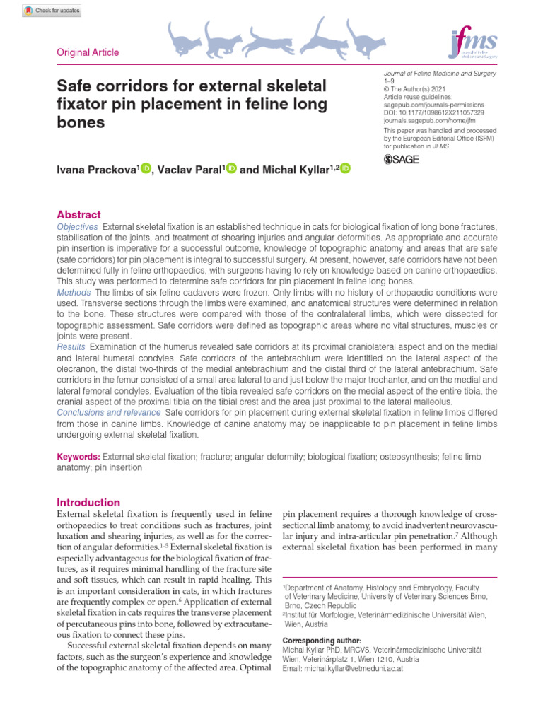 Safe Corridors For External Skeletal Fixator Pin Placement in Feline ...