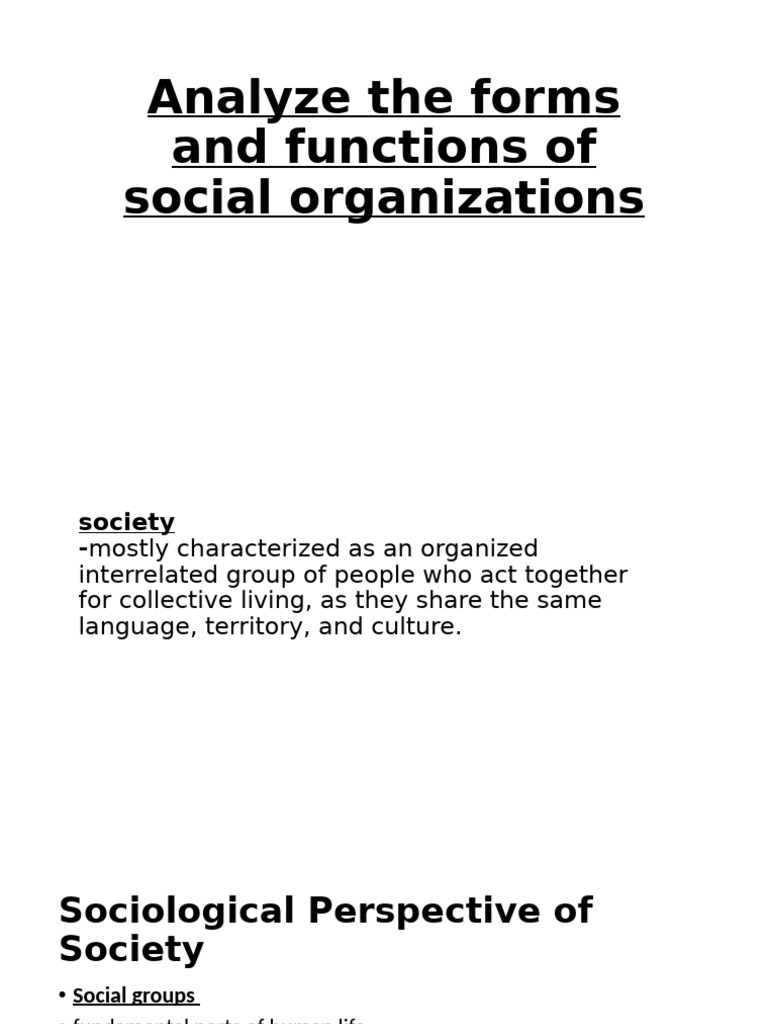 Yze The Forms and Functions of Social Organizations | PDF
