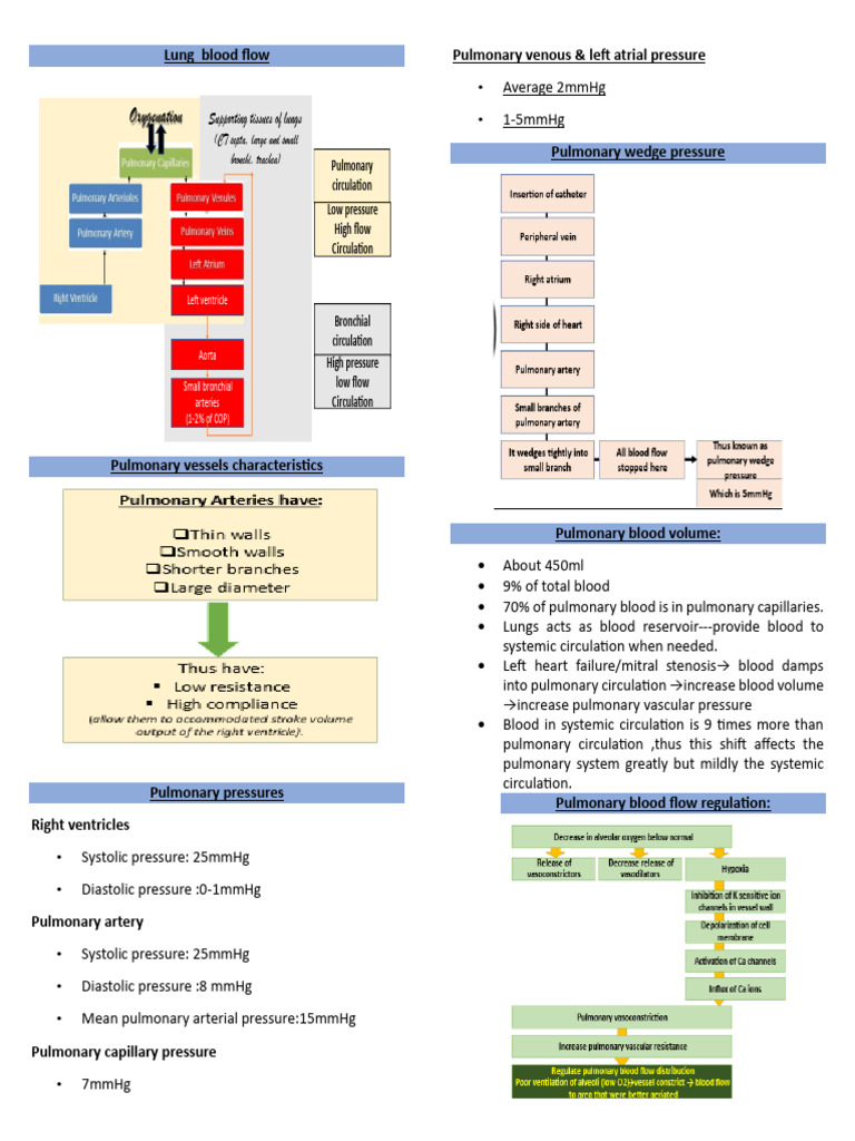 Lung Blood Flow | PDF