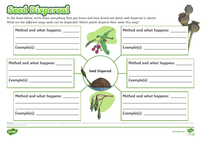 T SC 1715929106 Seed Dispersal Mind Map - Ver - 1 | PDF