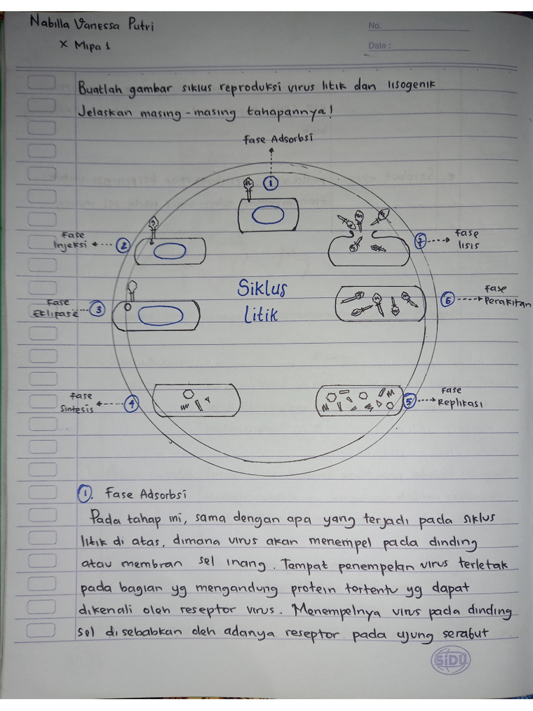 Siklus Litik Bio | PDF