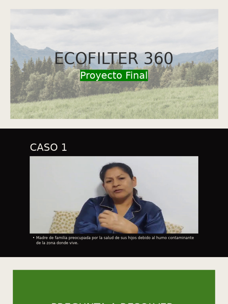 Proyecto Final | PDF