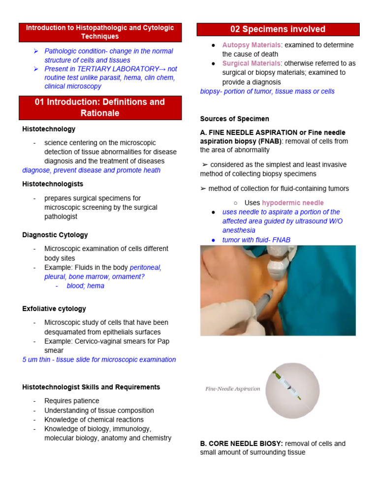 Histopath Prelims Finals | PDF