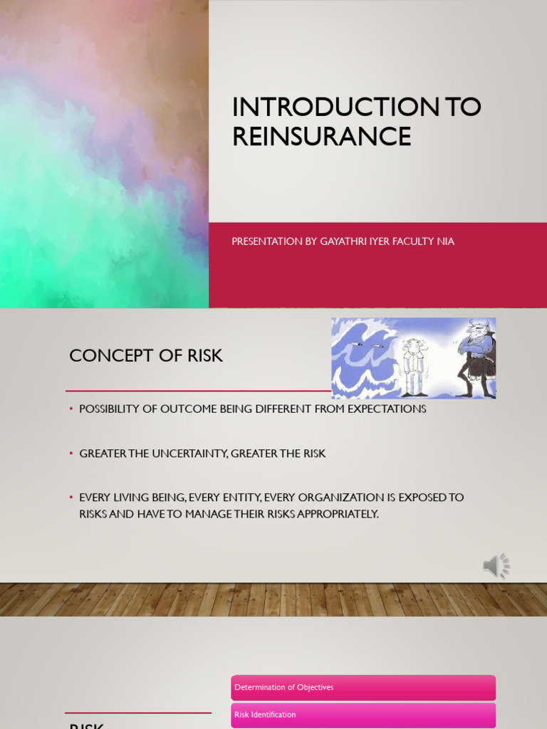 Reinsurance Introduction | PDF