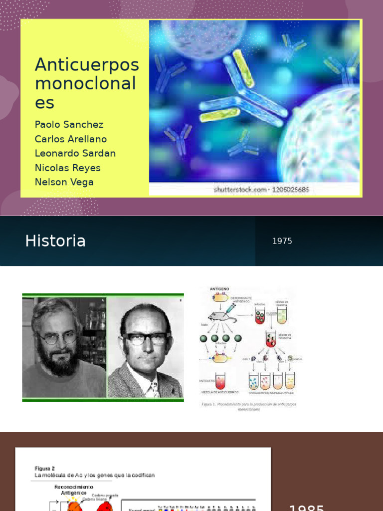 Anticuerpos Monoclonales | PDF
