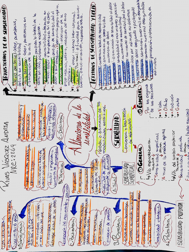 Sem5 Alteraciones de La Sensibilidad | PDF