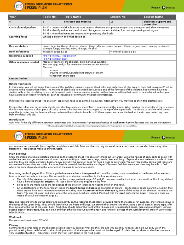 Ip Pips Lesson Plan Year 4 Topic 3 (6) | PDF