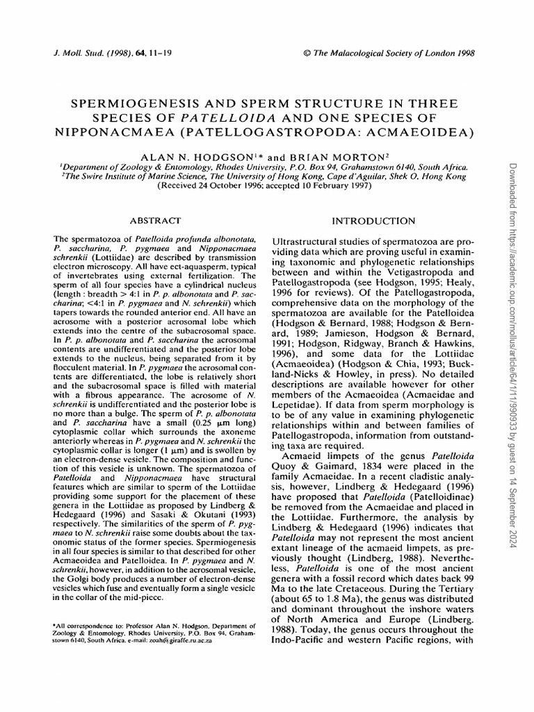 Spermogenesis and Sperm Structure in Three Species of Patelloida and ...