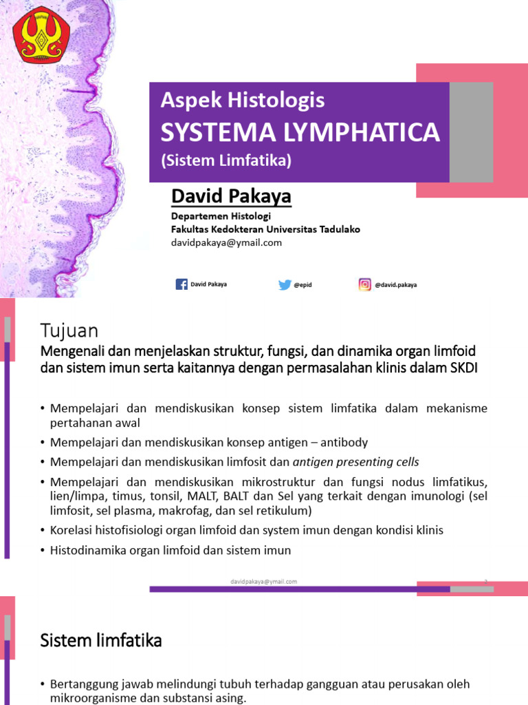 20200130 Kuliah Sistem Limfoid David | PDF