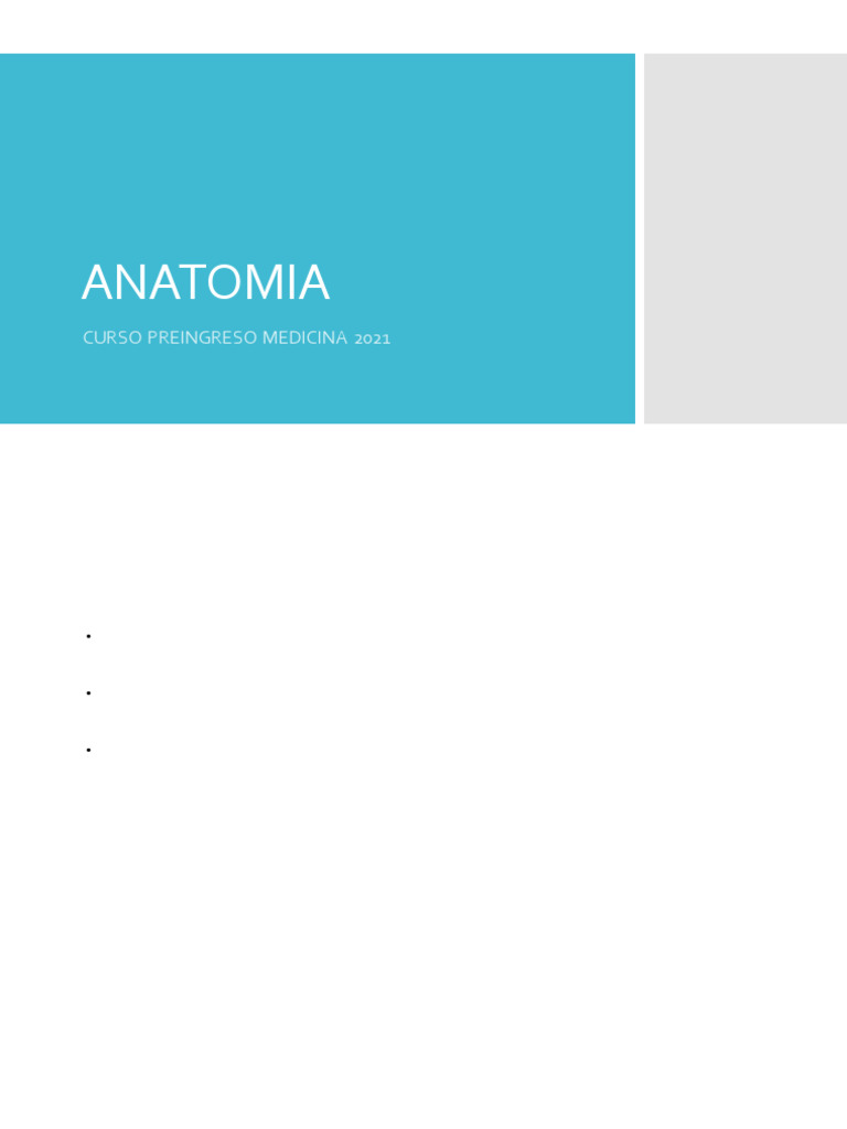 Anatomia 1 | PDF