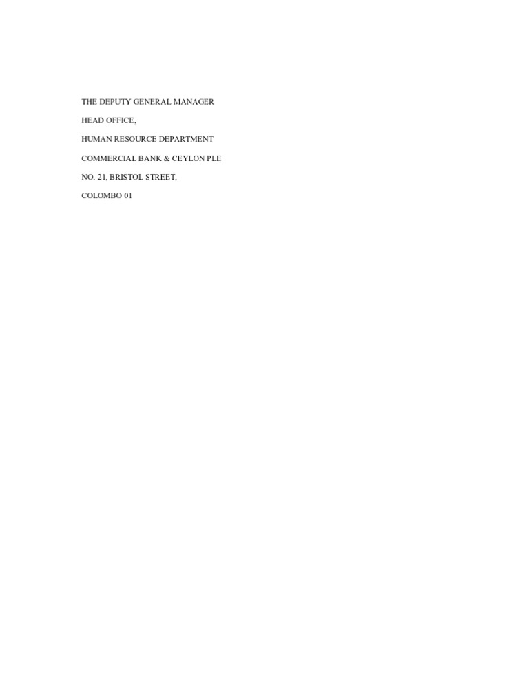 The Deputy General Manager | PDF