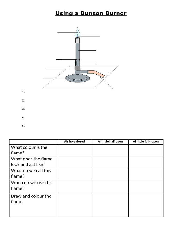 Bunsen Burner WS | PDF