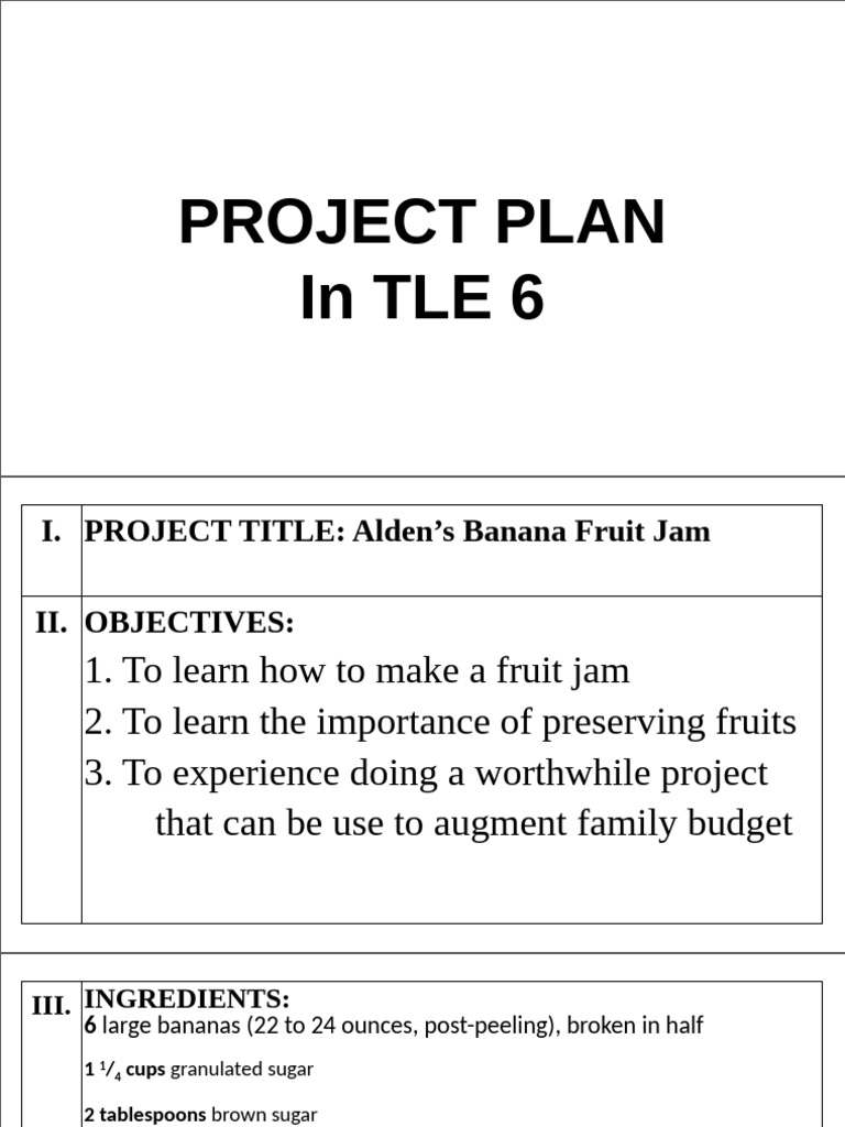 Project Plan in Tle 6 He | PDF
