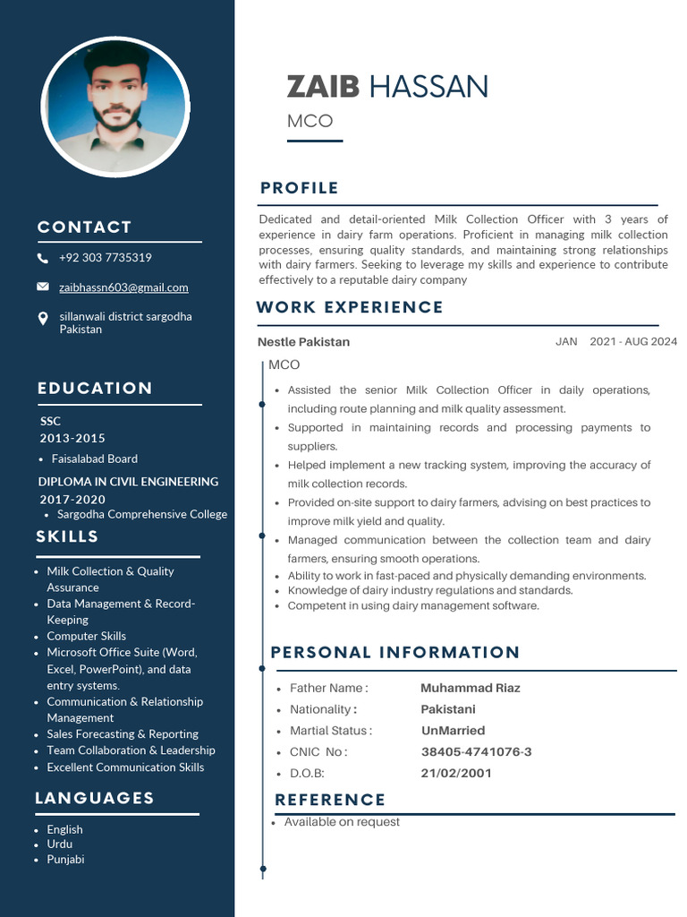 Zaib Hassan Cv | PDF