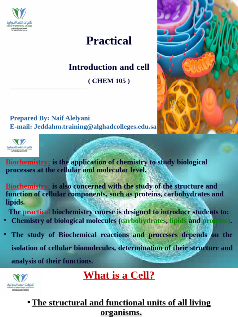 CHEM 105 LAB 2 | PDF