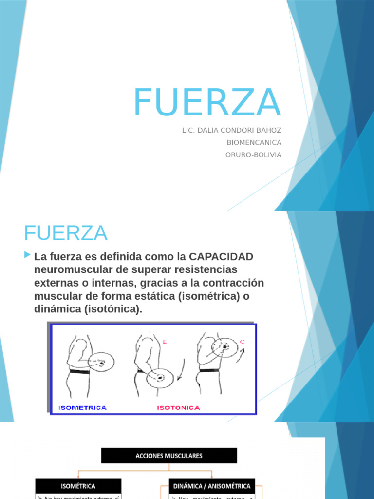 Fuerza | PDF