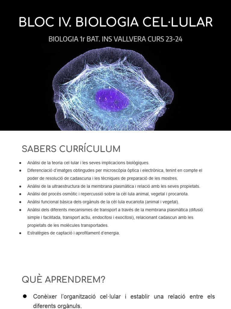 Biologia 1BAT. Bloc IV. Biologia Cel Lular. Teoria Cel Lular ...