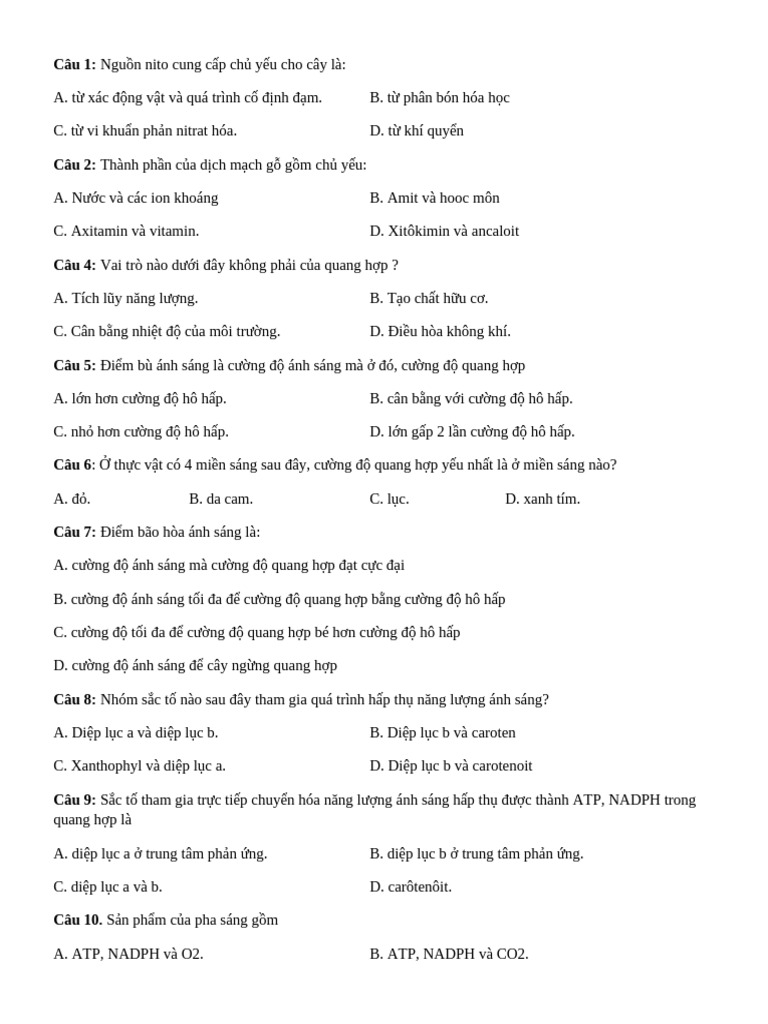 Bai Tap On Giua Ki I11 | PDF