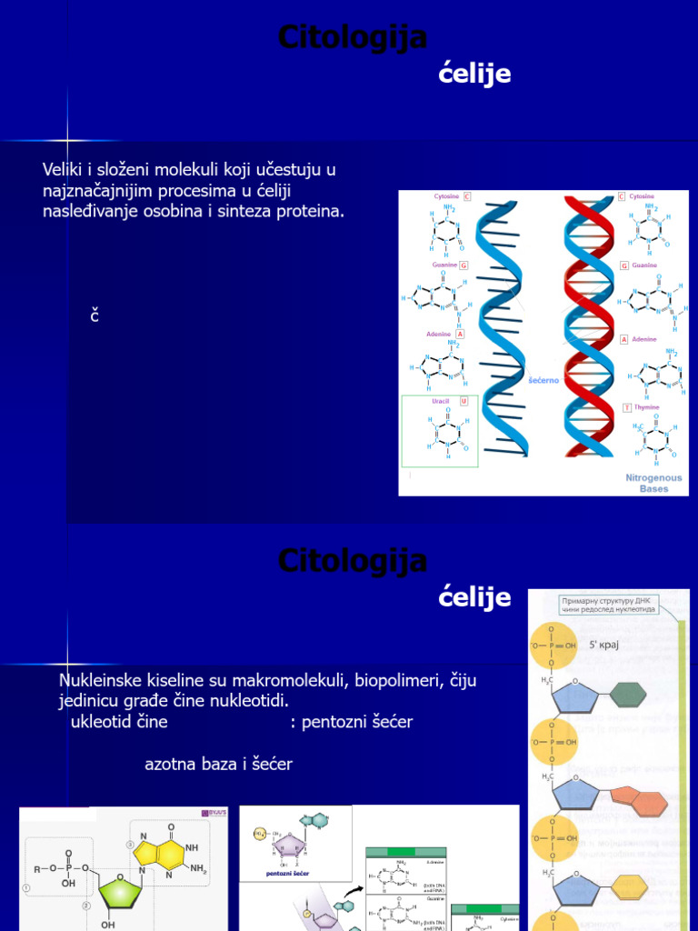 Predavanje 6 Aa | PDF
