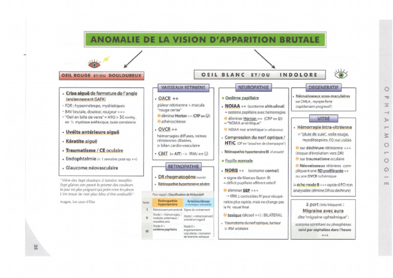 04 Anomalie de La Vision D'apparition Brutale - Mikbook Ophtalmo 19 | PDF