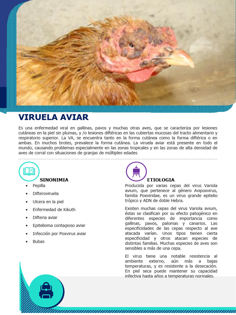 Viruela Aviar: Tipos y Diagnóstico | PDF | Especialidades Medicas ...