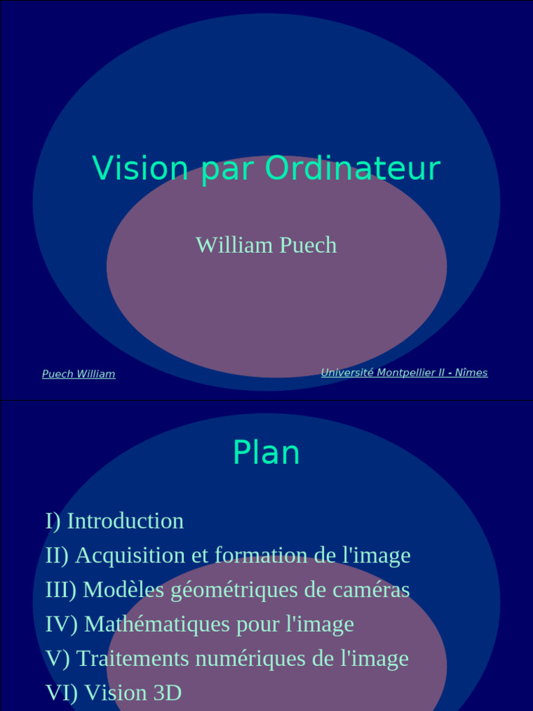 Vision | PDF