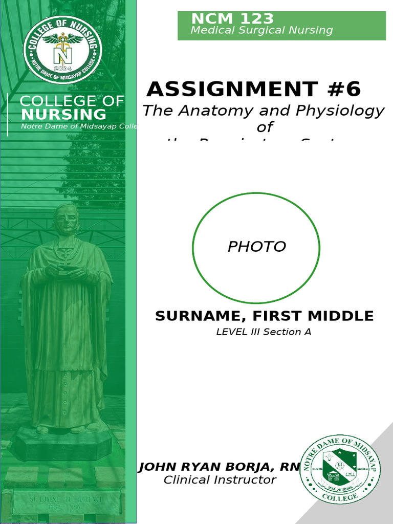 2024 NCM 112 Assignment 6 | PDF