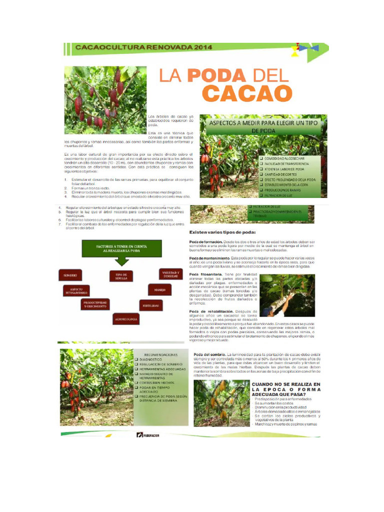 cacao poda | PDF