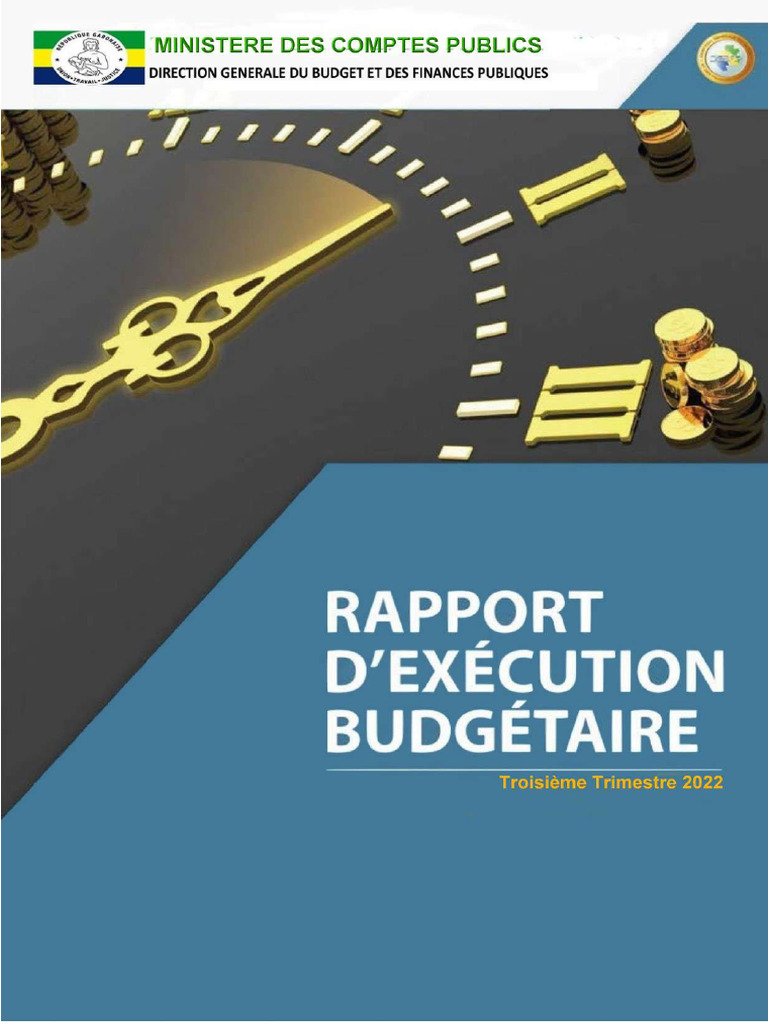 Rapport D'exécution Du Budget | PDF