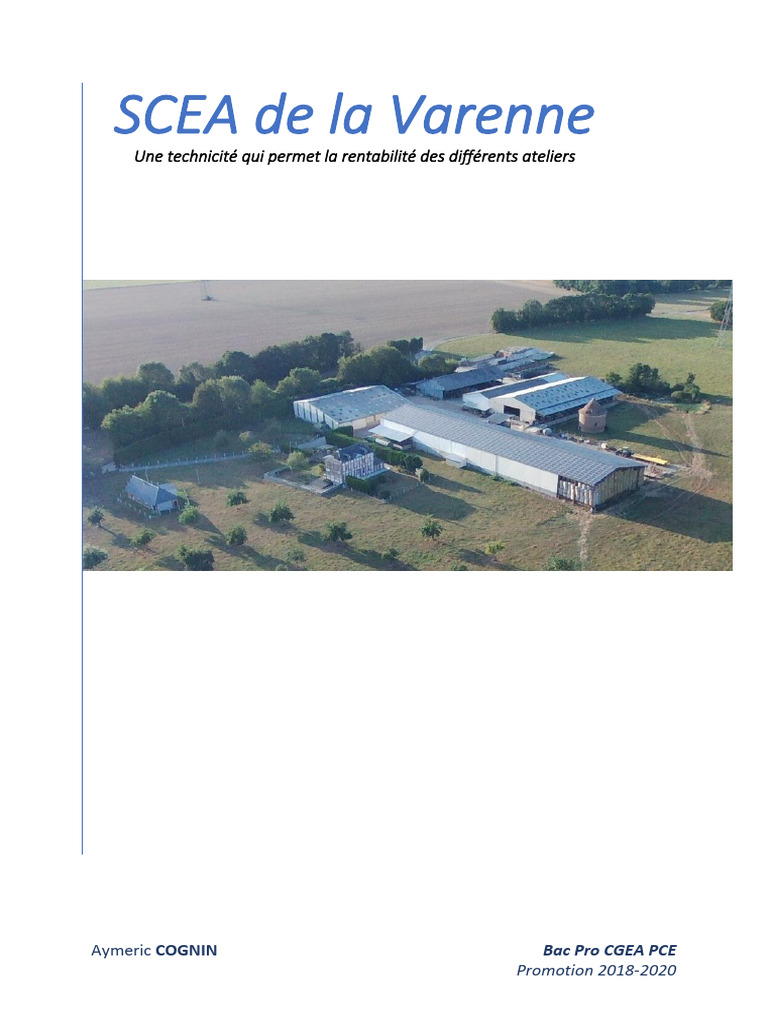 Rapport PDF | PDF