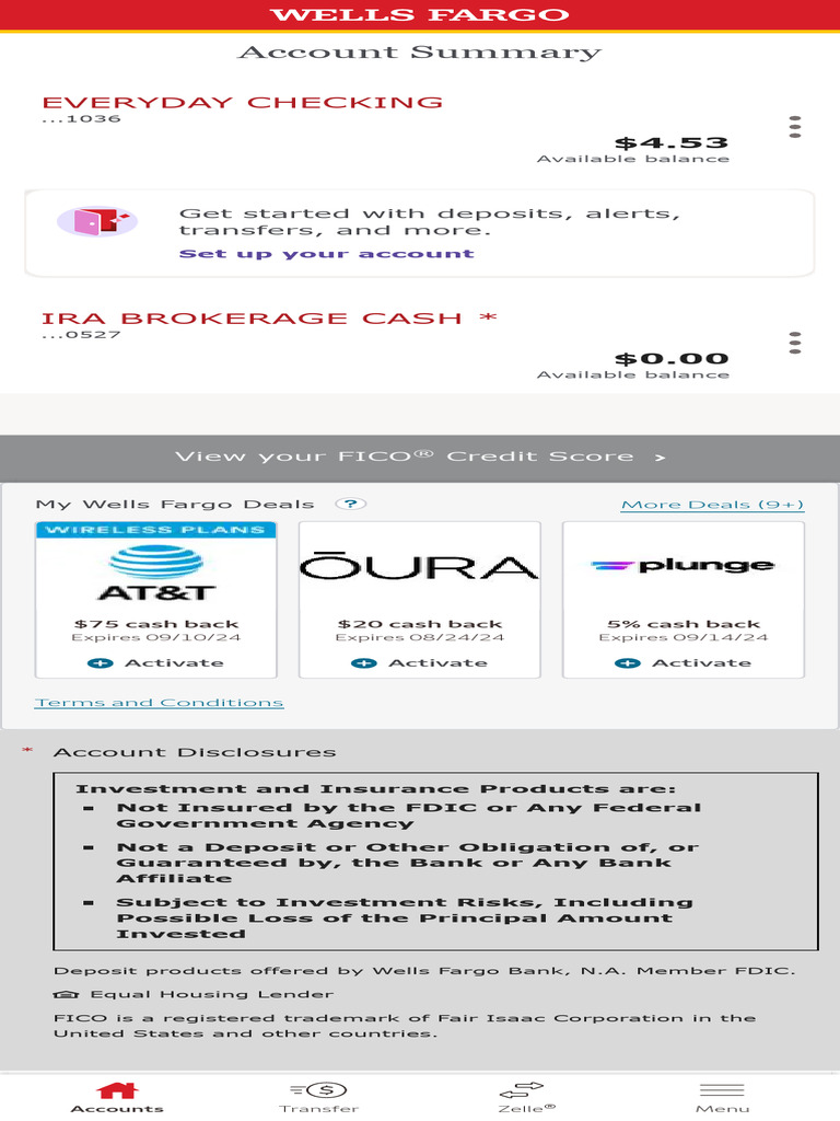 Account Summary - Wells Fargo | PDF
