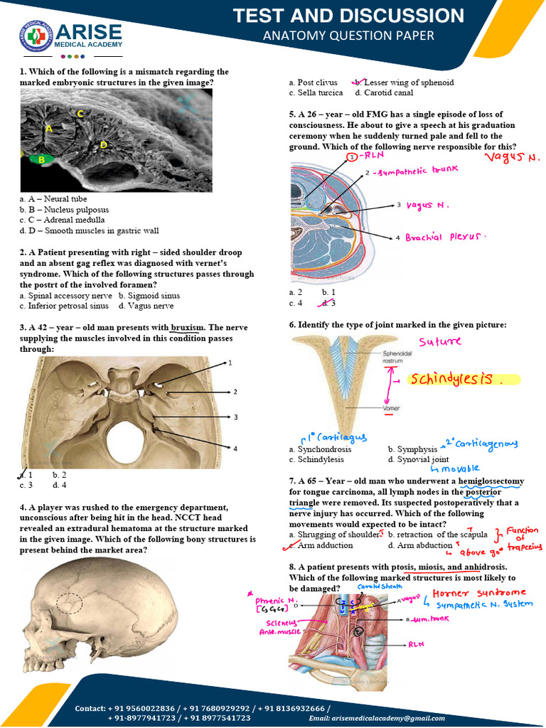 T & D - Anatomy Question Paper | PDF