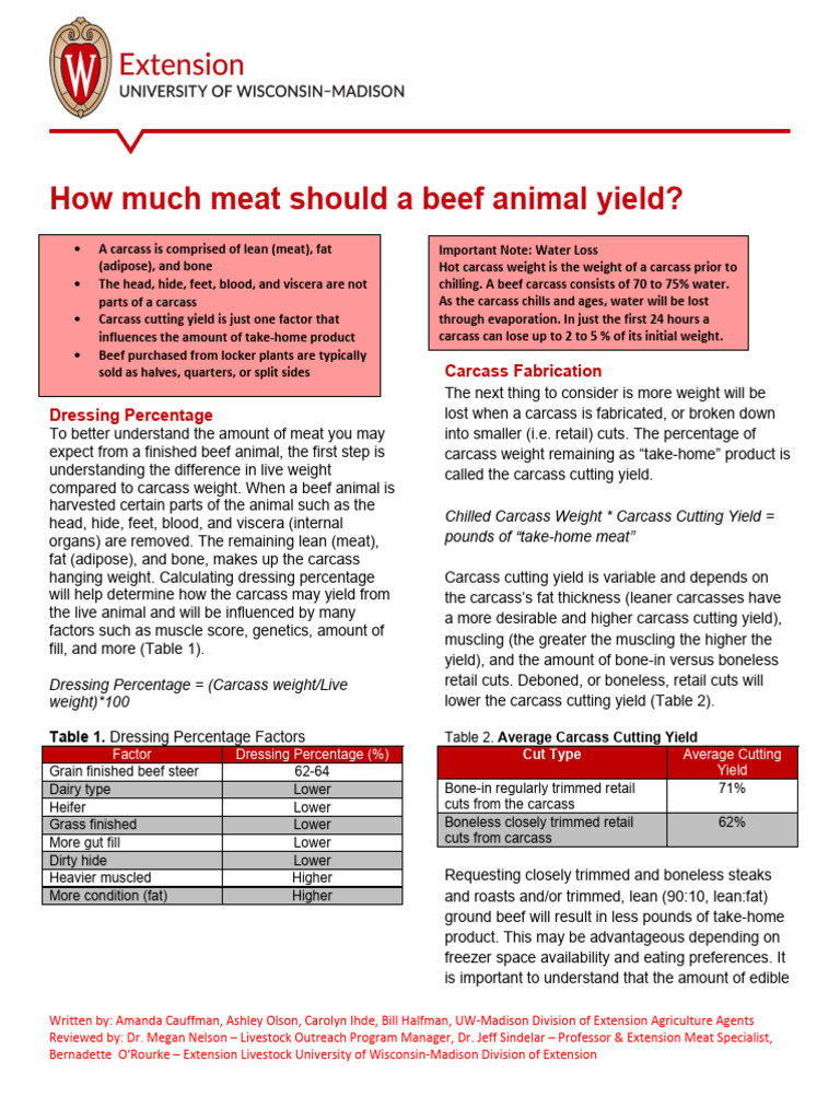 Beef-animal-yield (1) | PDF