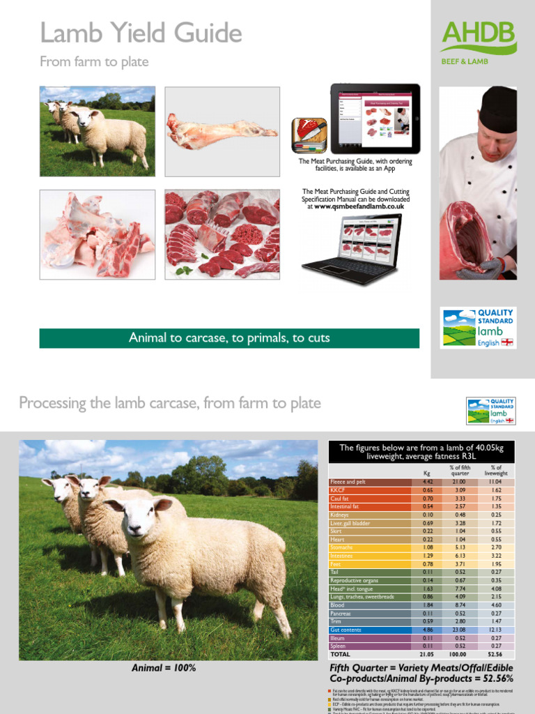 Lamb Yield Guide | PDF