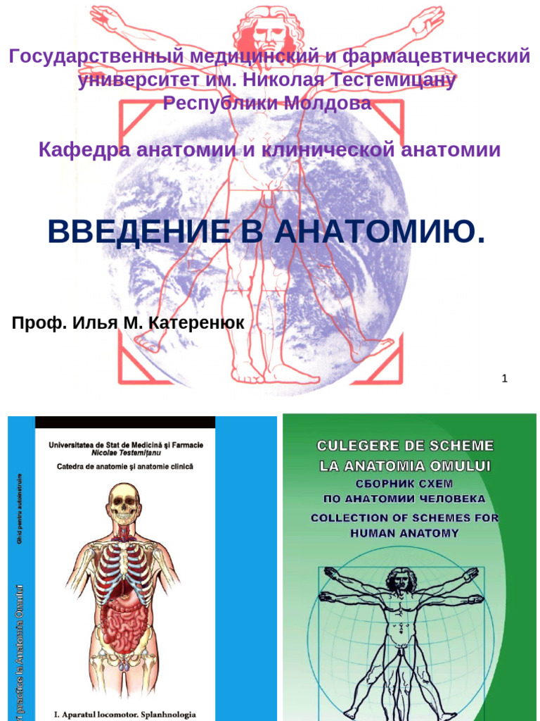 2024 - CURS ÎNTROD. - STOM.+FARM. - Rus. | PDF