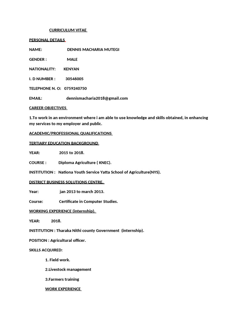 1_dennis_cv[1] | PDF