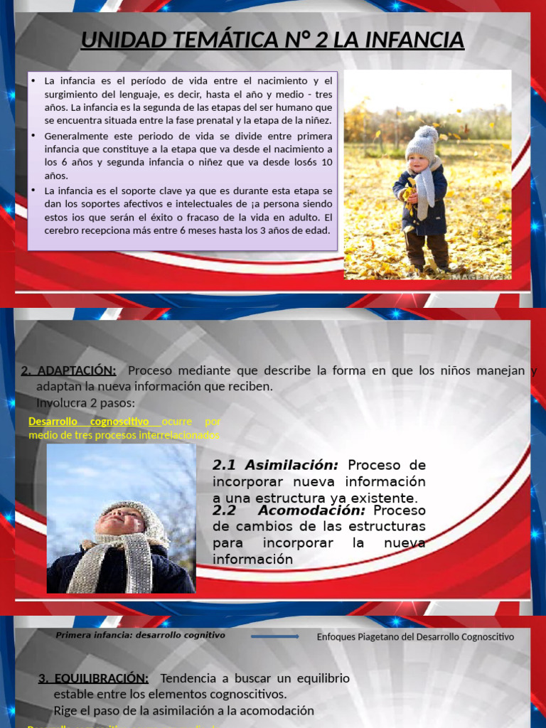 2do Tema Psicologia Del Desarrollo | PDF