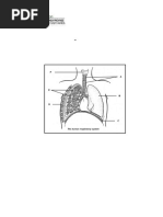 Grade R - Assessment Plan Term 2 | PDF | Shape | Mathematics