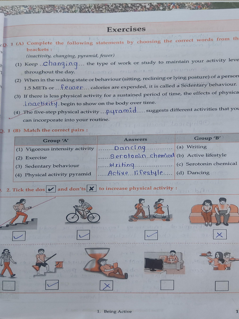 Physical Edu - STD X | PDF