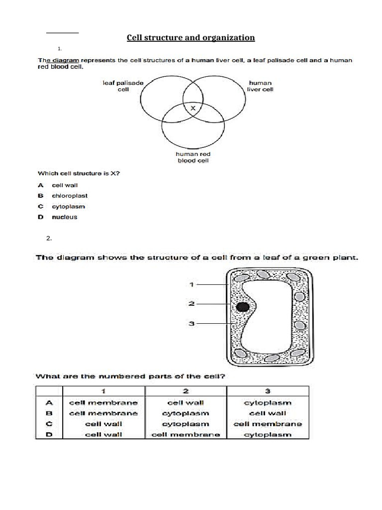 Biology 5090 Cell Structure Overview | PDF | Breathing | Wellness